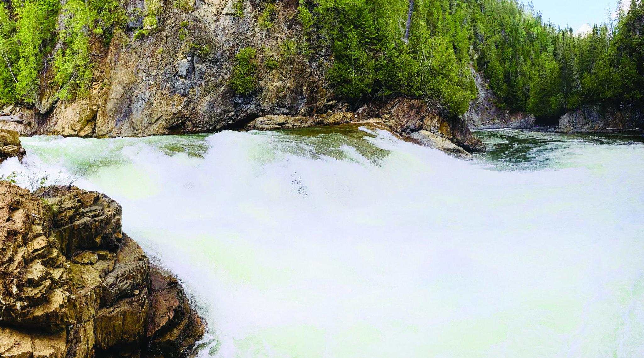 “MY MUSIC WILL ALWAYS RAISE HELL AND MAKE YOU FEEL UNCOMFORTABLE ...